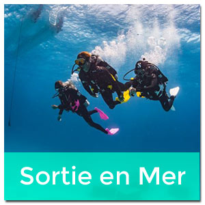 Réservation - ecole de plongée paris